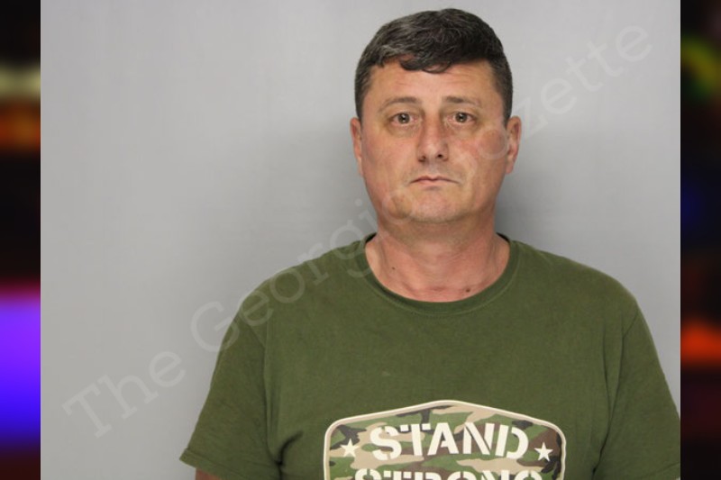 Mircea-Dan Piticariu — Hall County Jail Bookings