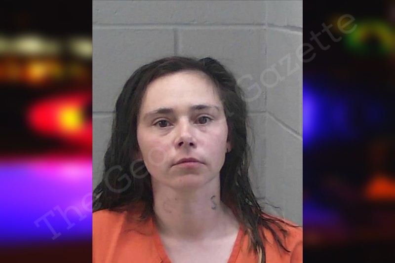 Bridget Phillips — Madison County Jail Bookings