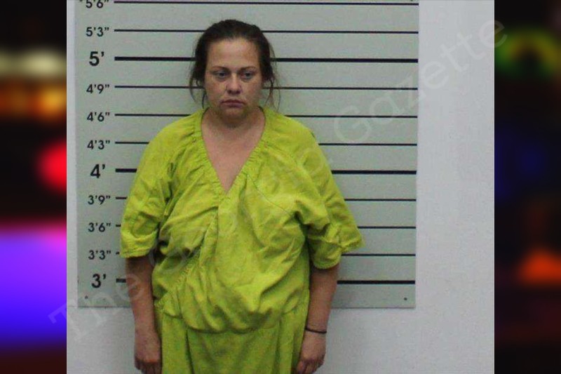Amber Pollock — Turner County Jail Bookings