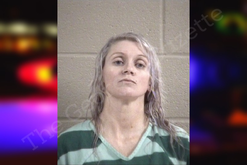 Shanna Powell — Whitfield County Jail Bookings