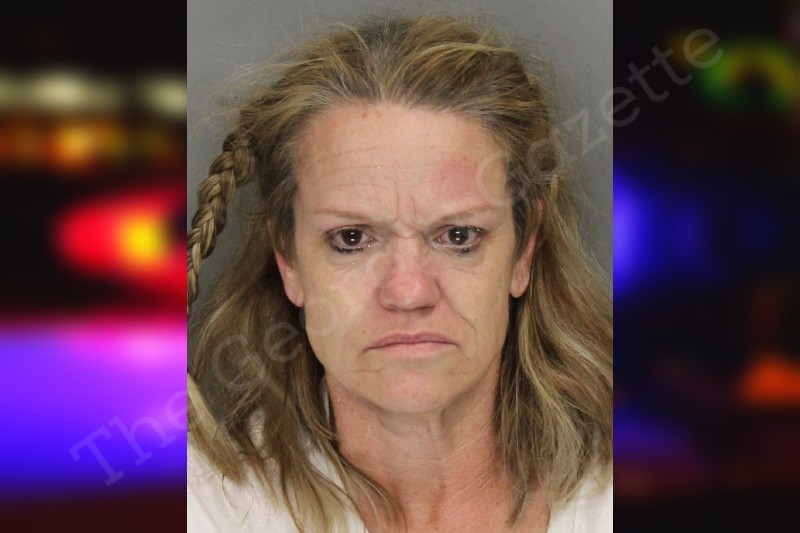 Janet Ramey — Cobb County Jail Bookings