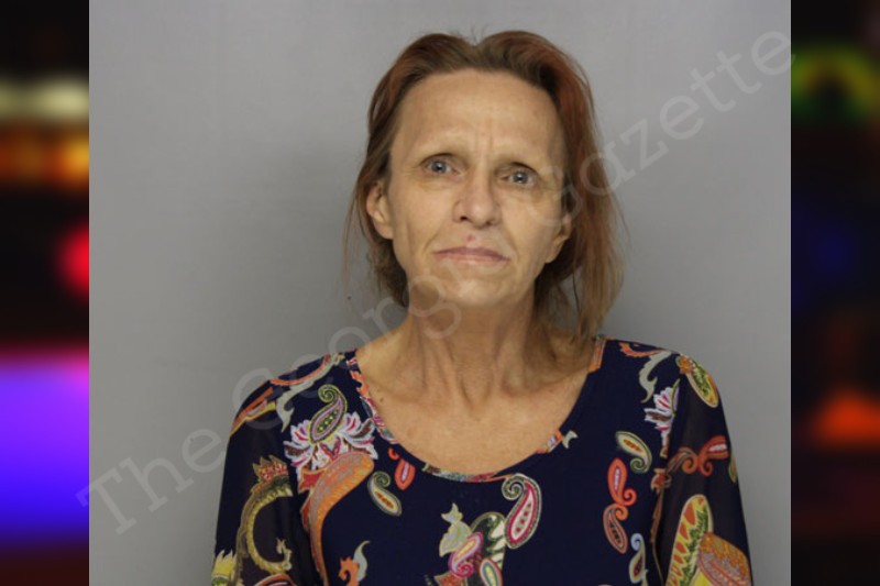 Sandra Ritter — Hall County Jail Bookings
