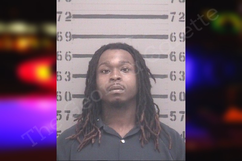 Tyler Reese | Dougherty County Jail Bookings