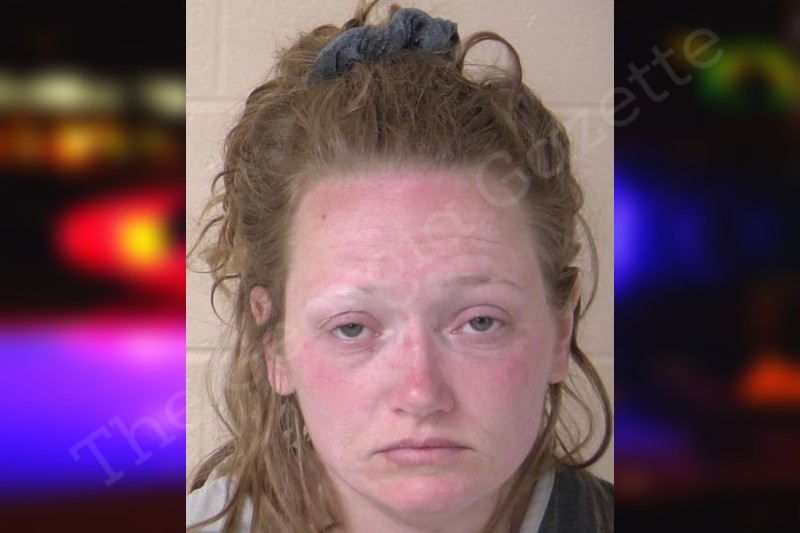 Angelia Robinson | Walker County Jail Bookings