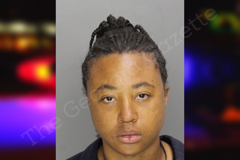 Eryn Robinson — Cobb County Jail Bookings