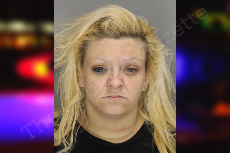 Terena Seevers — Cobb County Jail Bookings