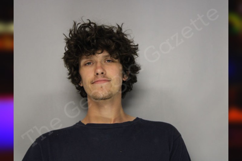 Walter Spiva — Hall County Jail Bookings
