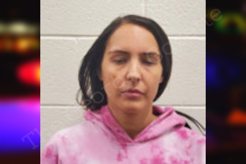 Brittany Sanchez — Henry County Jail Bookings