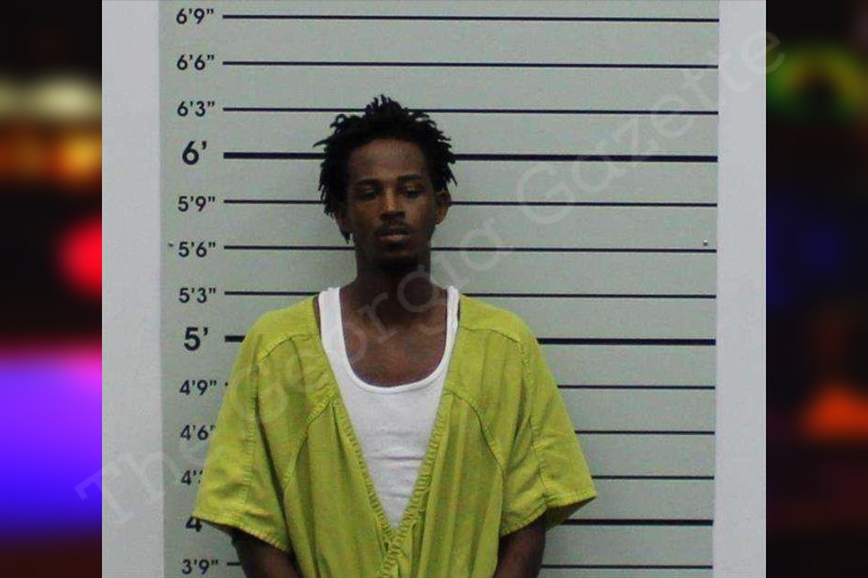 Leon Sears — Turner County Jail Bookings