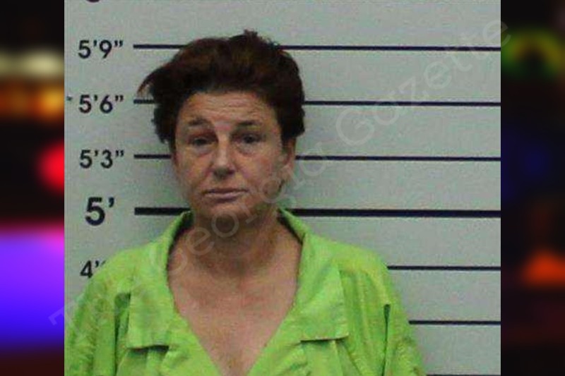 Maria Sears — Turner County Jail Bookings