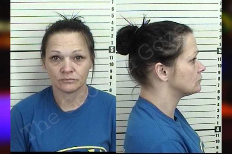 Amanda Sheffield — Camden County Jail Bookings