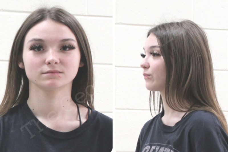 Layla Spivey — Houston County Jail Bookings