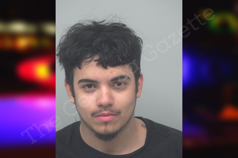 Julian Tapia — Gwinnett County Jail Bookings