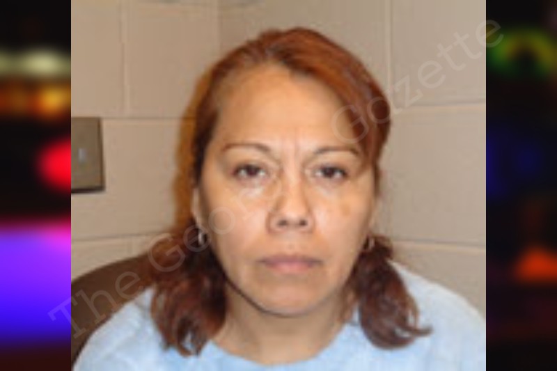 Marilyn Tenorio Leon — Henry County Jail Bookings