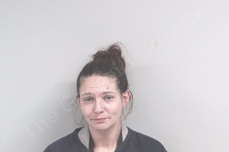 Kayla Thompson — Lowndes County Jail Bookings