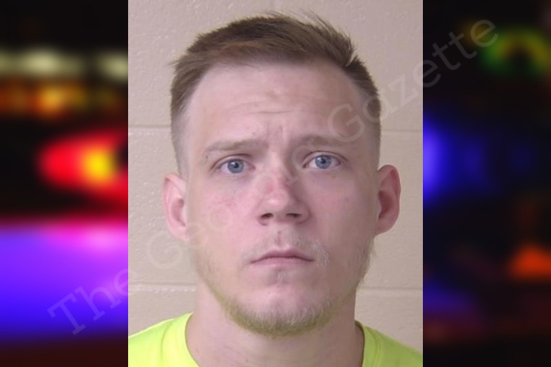 Matthew Tinker — Walker County Jail Bookings