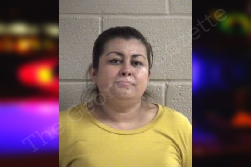 Emilia Torres Da Vanegas — Whitfield County Jail Bookings