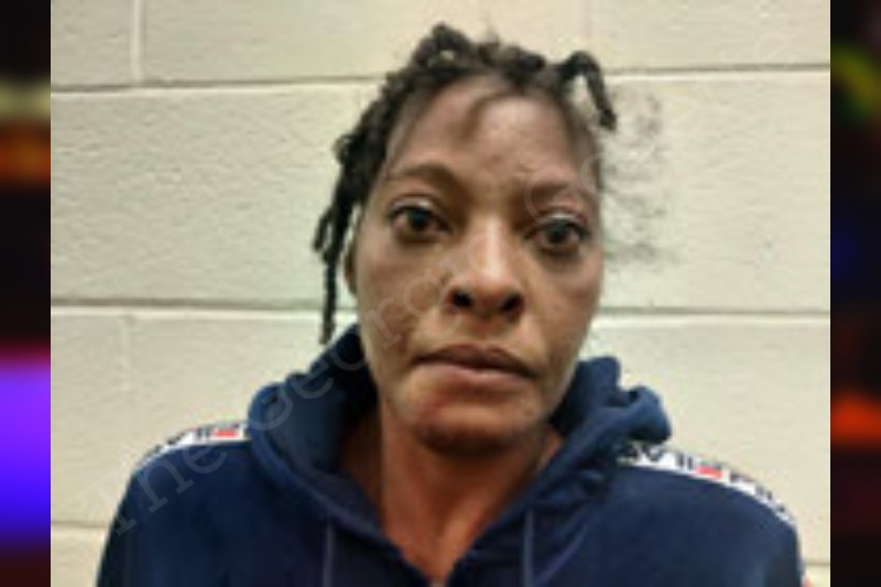 Robin Turner — Henry County Jail Bookings