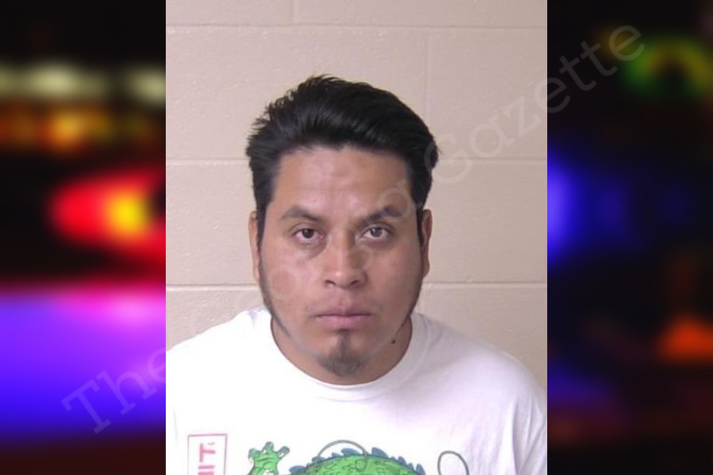 Angel Velasquez Perez — Walker County Jail Bookings