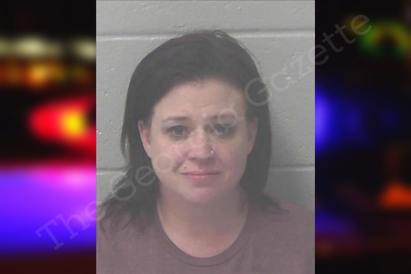 Jennifer Walters — Newton County Jail Bookings