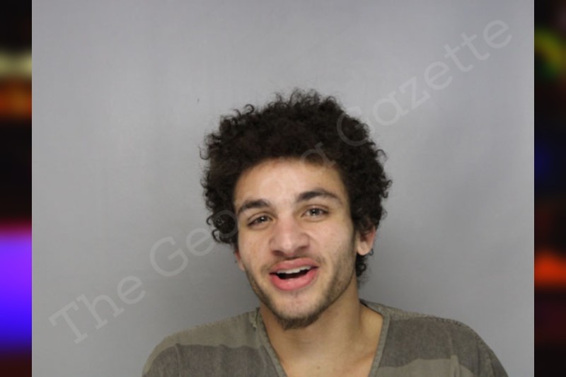 Jaiden Wilson-Springer — Hall County Jail Bookings