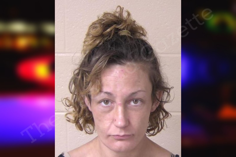 Kristina Wells — Walker County Jail Bookings