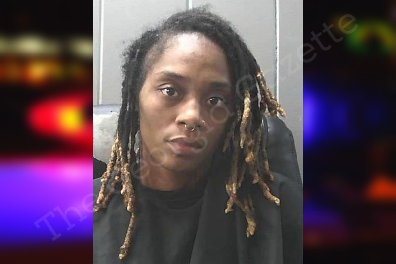 Whitney Wheeler — Hart County Jail Bookings