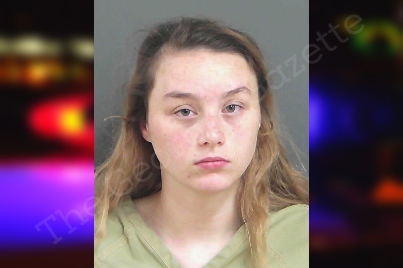 Amanda Williamson — Gordon County Jail Bookings