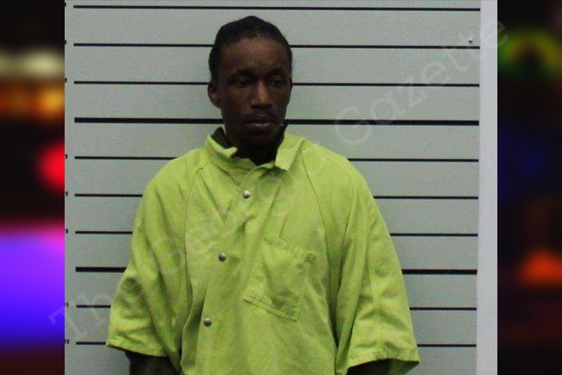 Devon Artis — Turner County Jail Bookings