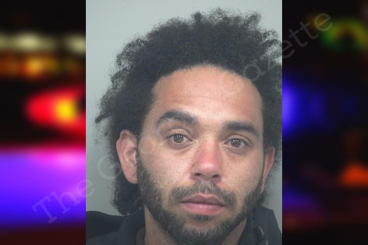 Jamie Brown — Gwinnett County Jail Bookings