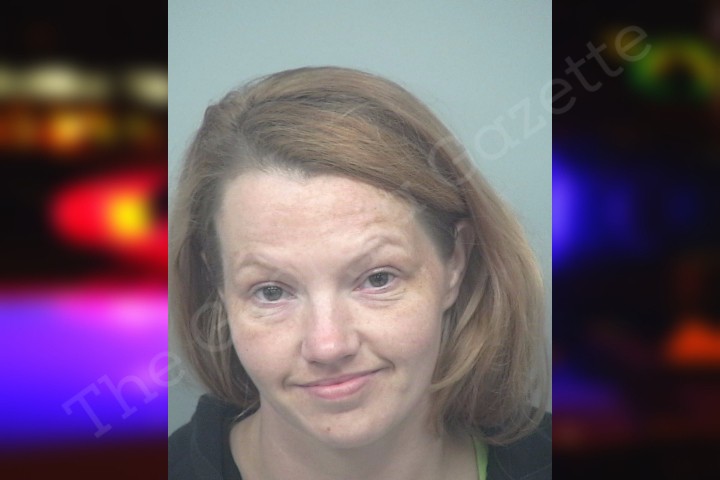 Alisha Buice — Gwinnett County Jail Bookings
