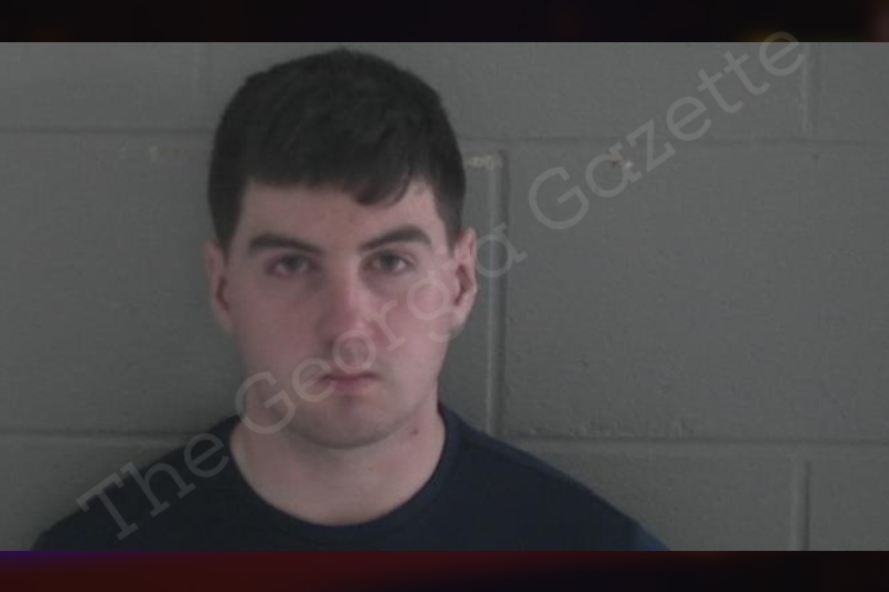 Andrew Barham — Brantley County Jail Bookings