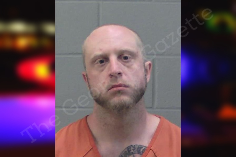 Austin Bogue — Madison County Jail Bookings