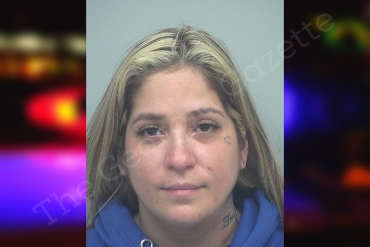 Corina Castaneda — Gwinnett County Jail Bookings