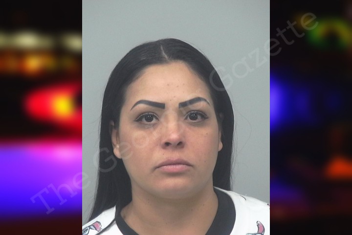 Yaritza Colon Lopez — Gwinnett County Jail Bookings