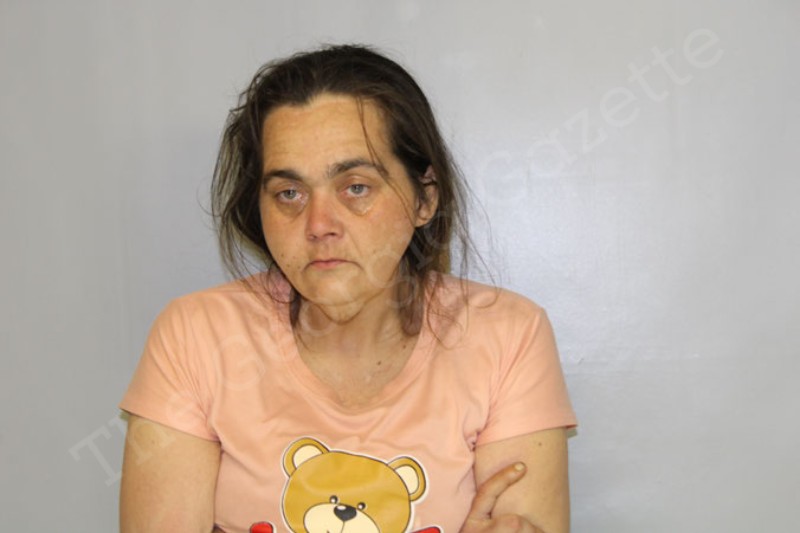 Amanda Craig — Hall County Jail Bookings