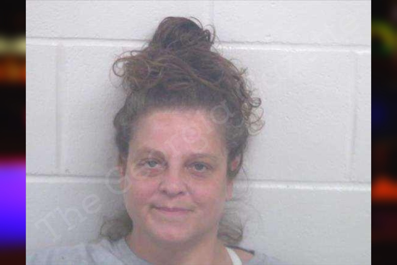 Jessica Carter — Washington County Jail Bookings