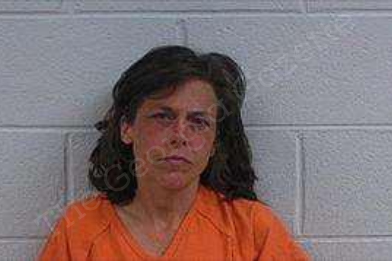 Amy Coats — Polk County Jail Bookings