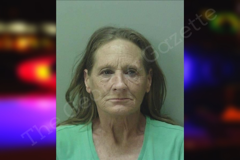 Teresa Ditmore | Towns County