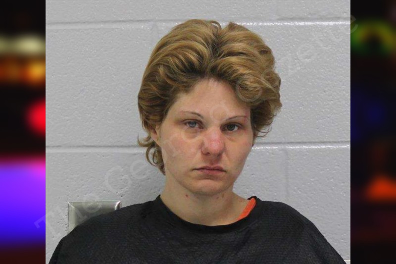 Madison Ellard — Carroll County Jail Bookings
