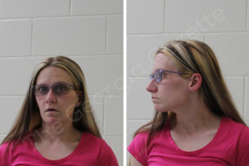 Shelly Evans — Houston County Jail Bookings