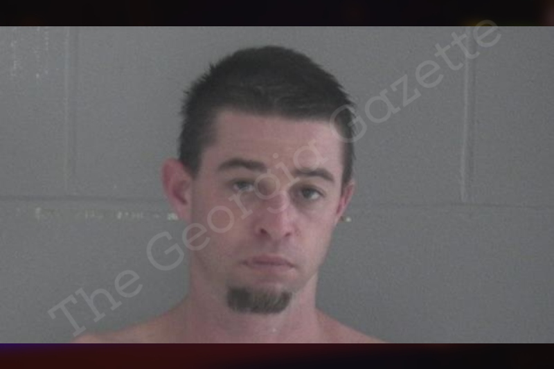 Luke Field — Brantley County Jail Bookings