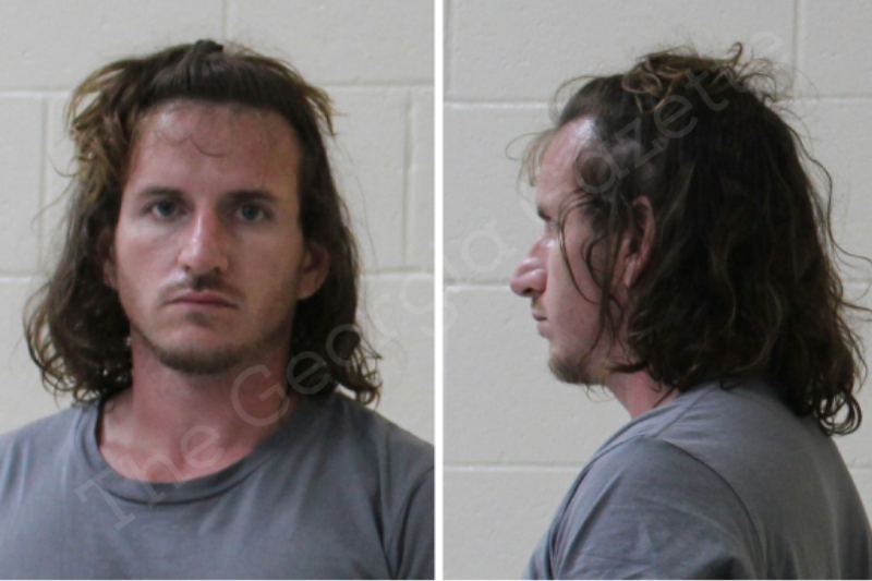 Michael Fowler — Houston County Jail Bookings