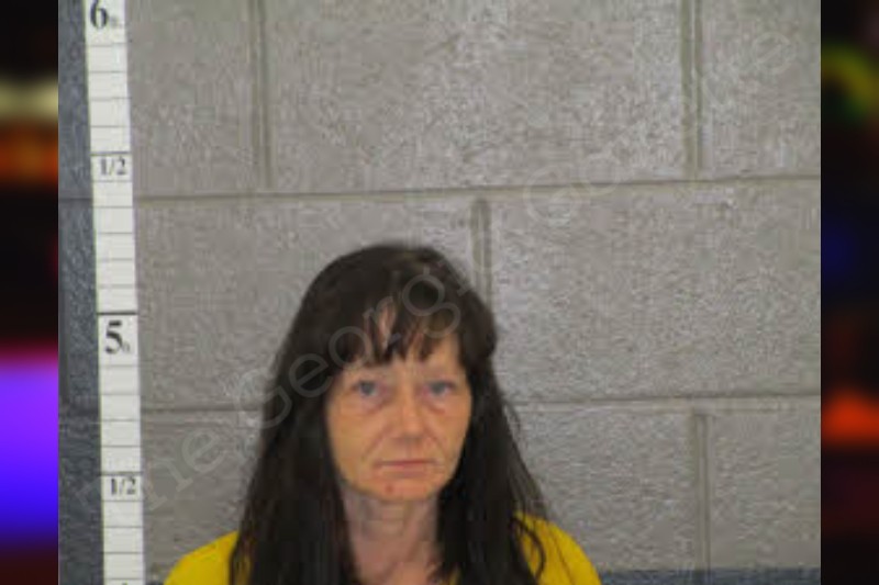 Jennifer Davis — Banks County Jail Bookings