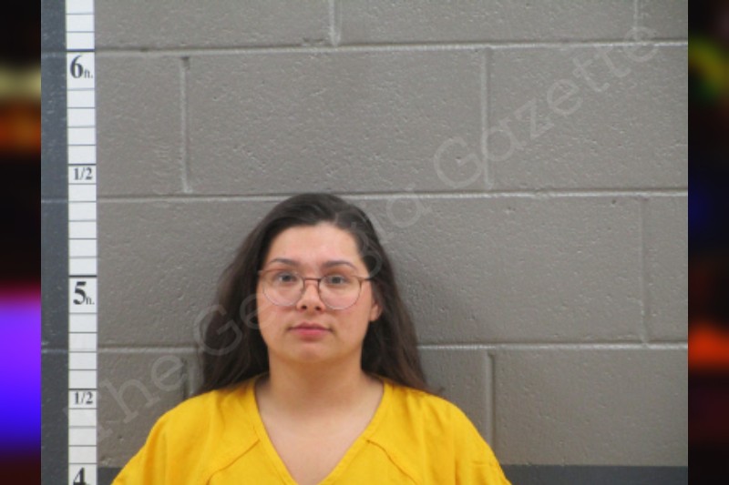 Emily Sims — Banks County Jail Bookings