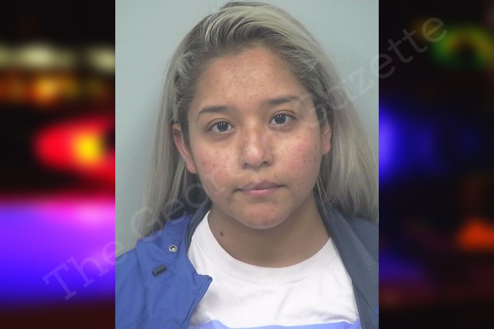 Ailyne Garcia Hernandez | Gwinnett County