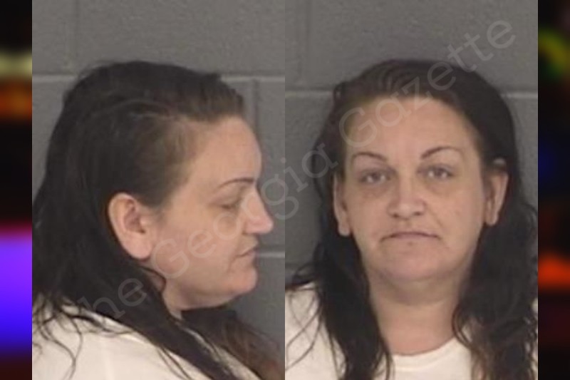 Sherri Gee — Barrow County Jail Bookings