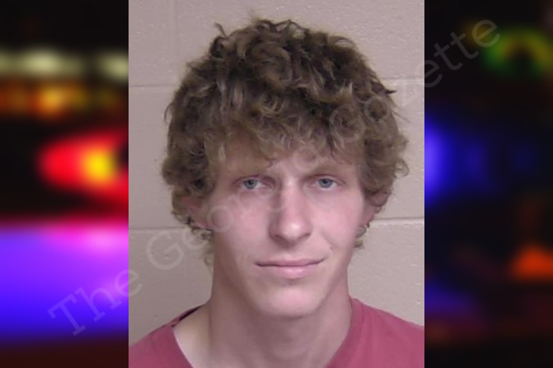 Britton Gilbert — Walker County Jail Bookings