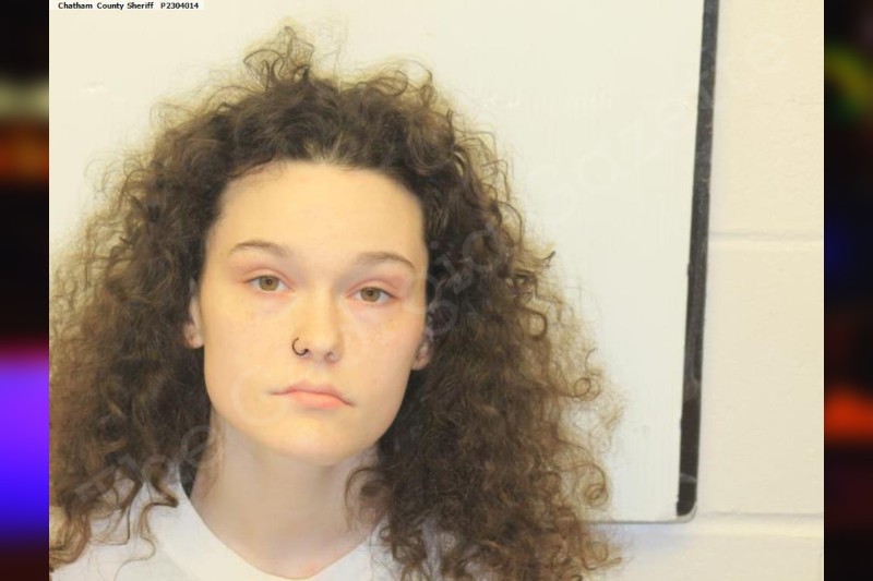 Alexis Gonzalez — Chatham County Jail Bookings