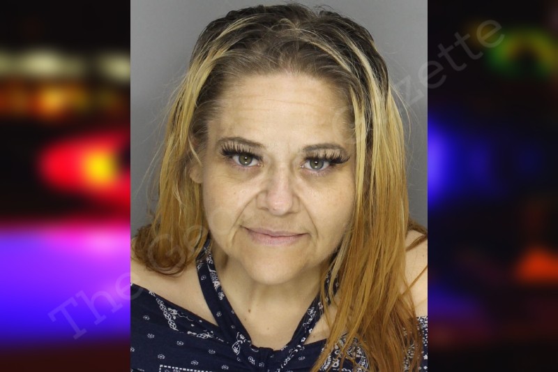 Heather Hartmann — Cobb County Jail Bookings